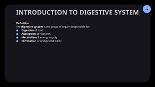 Human Digestive System (RIT): Physiology, Digestion & Absorption ...