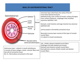 ANATOMY AND PHYSIOLOGY OF HUMAN DIGESTIVE SYSTEM | PPTX