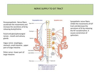 ANATOMY AND PHYSIOLOGY OF HUMAN DIGESTIVE SYSTEM | PPTX