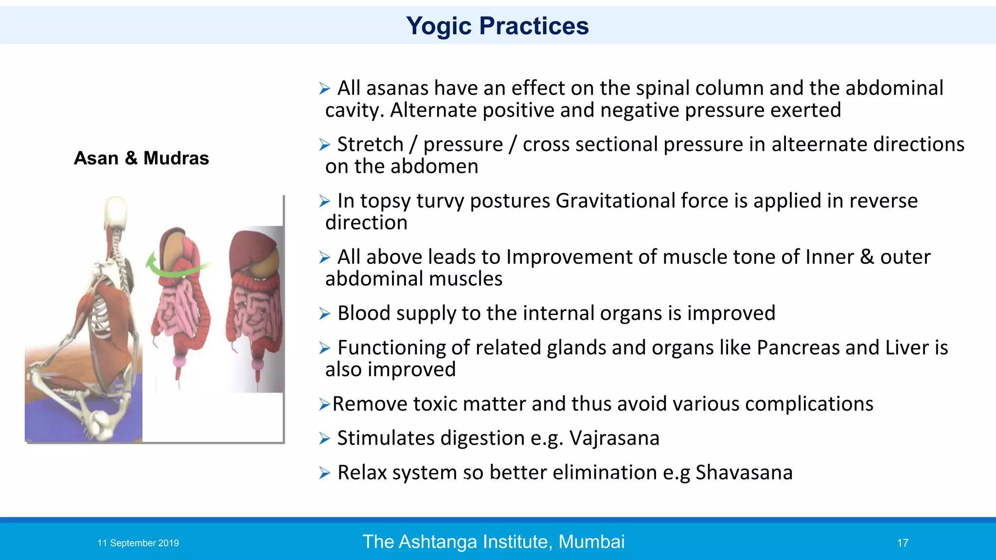 Digestive system & Yoga | PDF