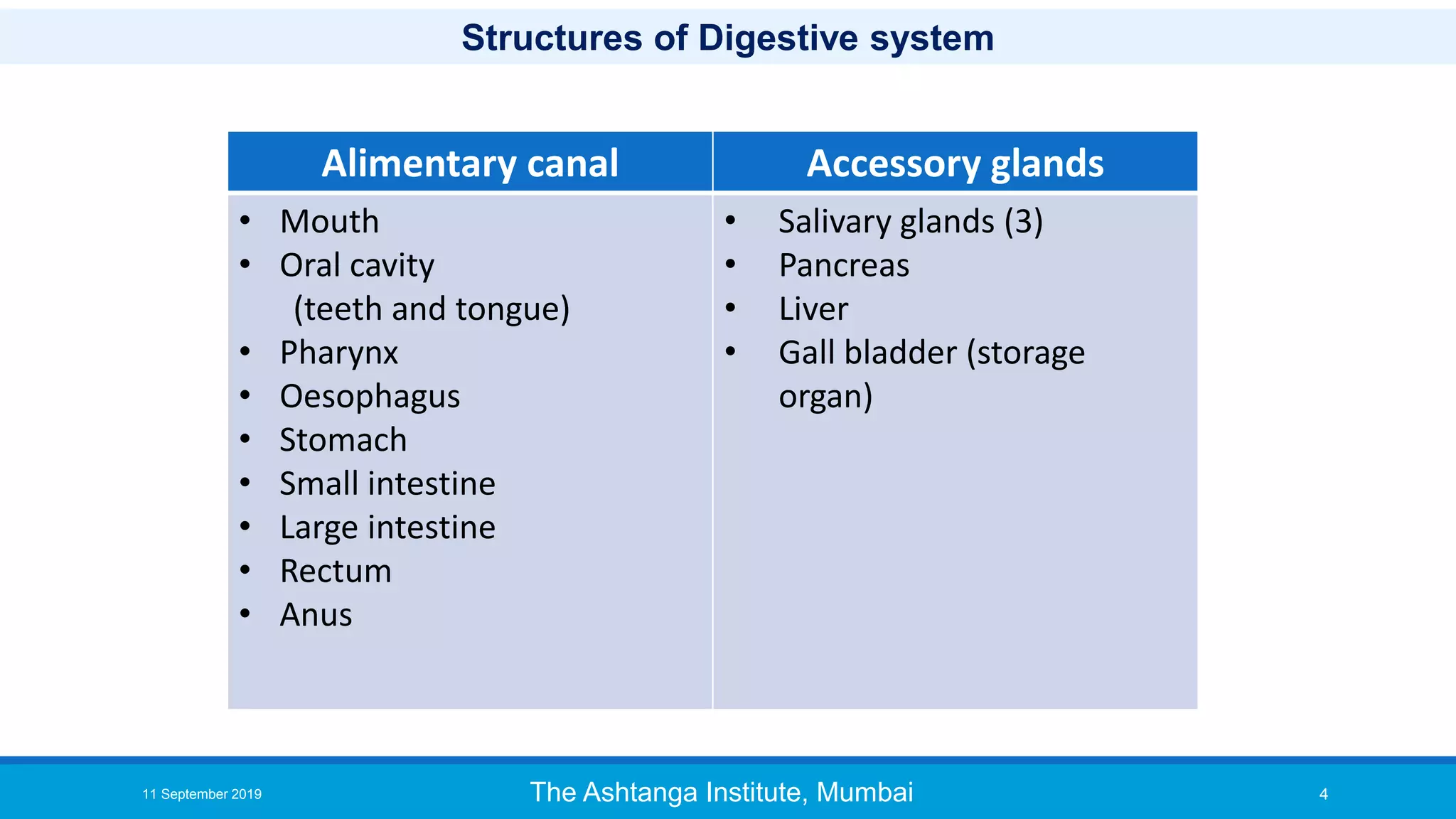 Digestive system & Yoga | PDF