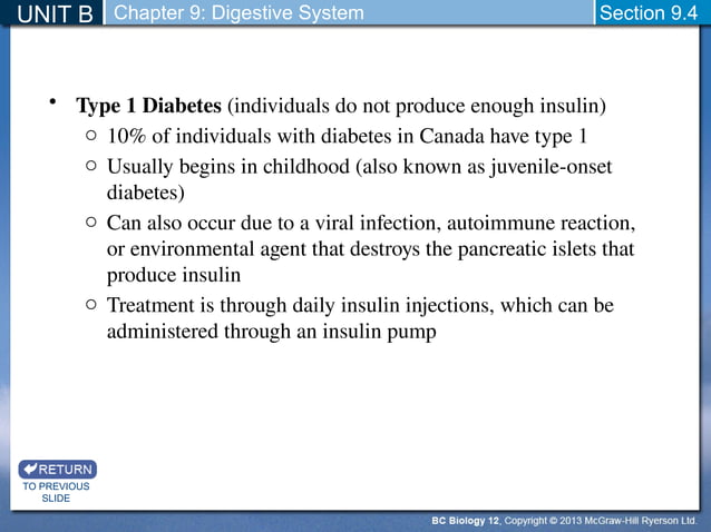 SOARING_EAGLE_SCHOOL_digestive_system_slide.pptx