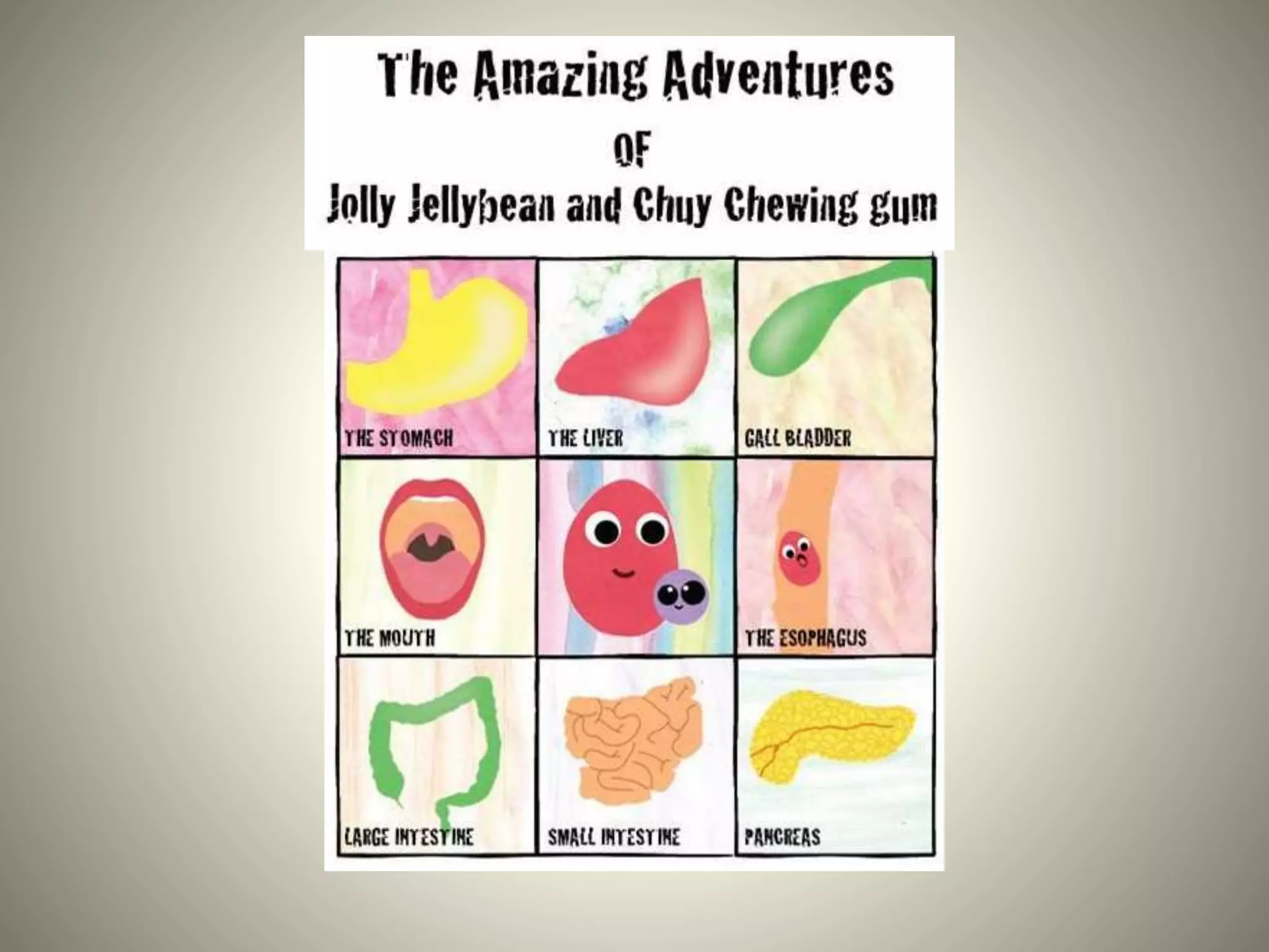 Digestive system story | PPTX