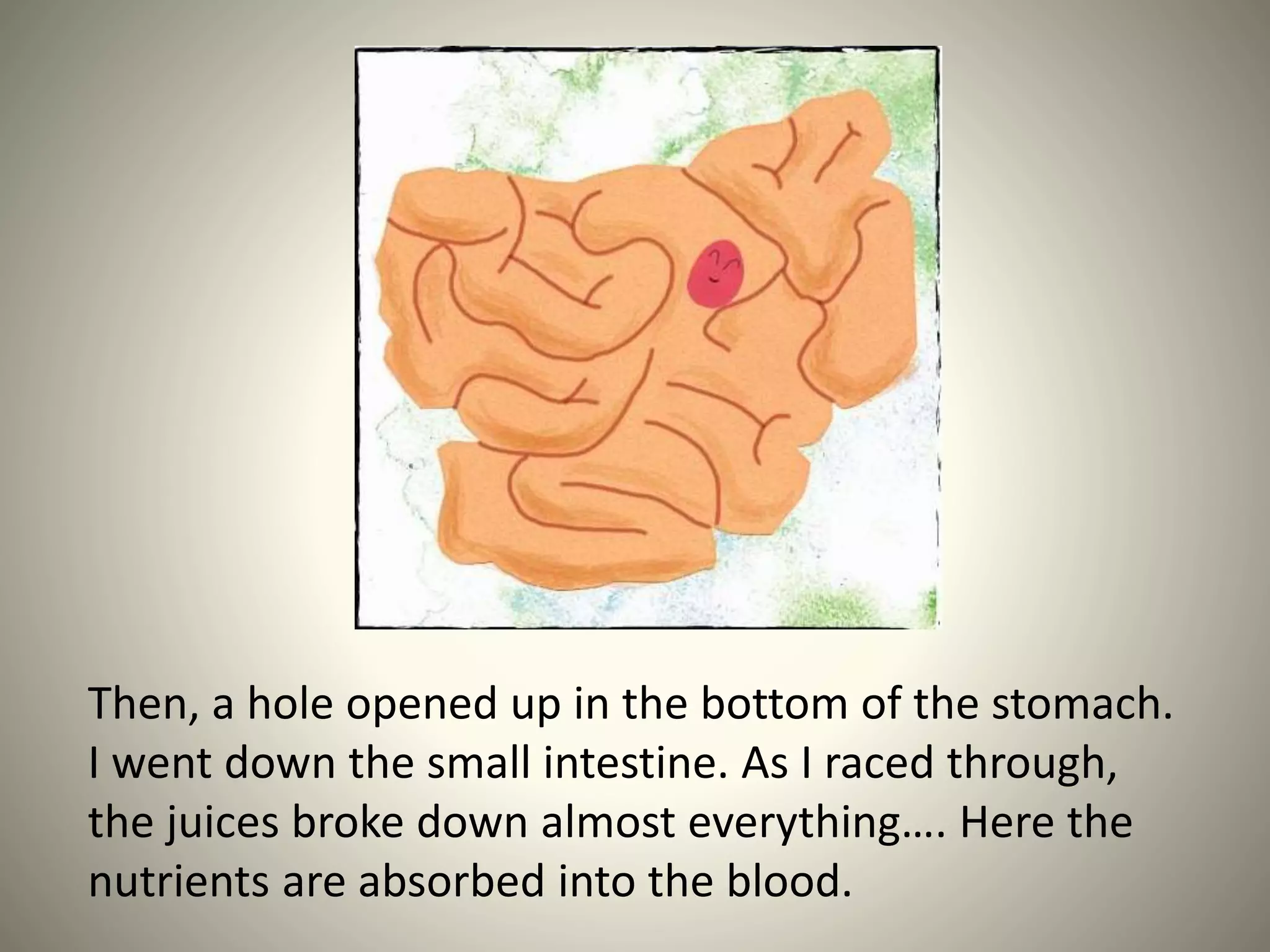 Digestive system story | PPTX