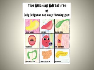 Digestive system story | PPTX