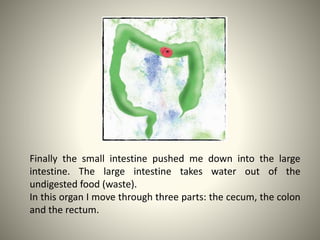 Digestive system story | PPTX