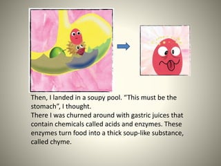 Digestive system story | PPTX