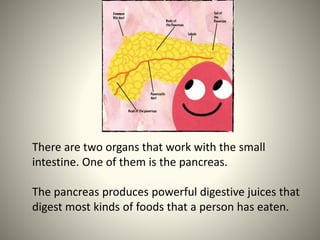 Digestive system story | PPTX