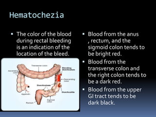 Digestive system terms | PPTX