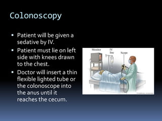 Digestive system terms | PPTX