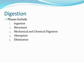 Digestive system unit 2 | PPTX