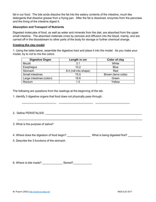 Digestive system with clay | PDF