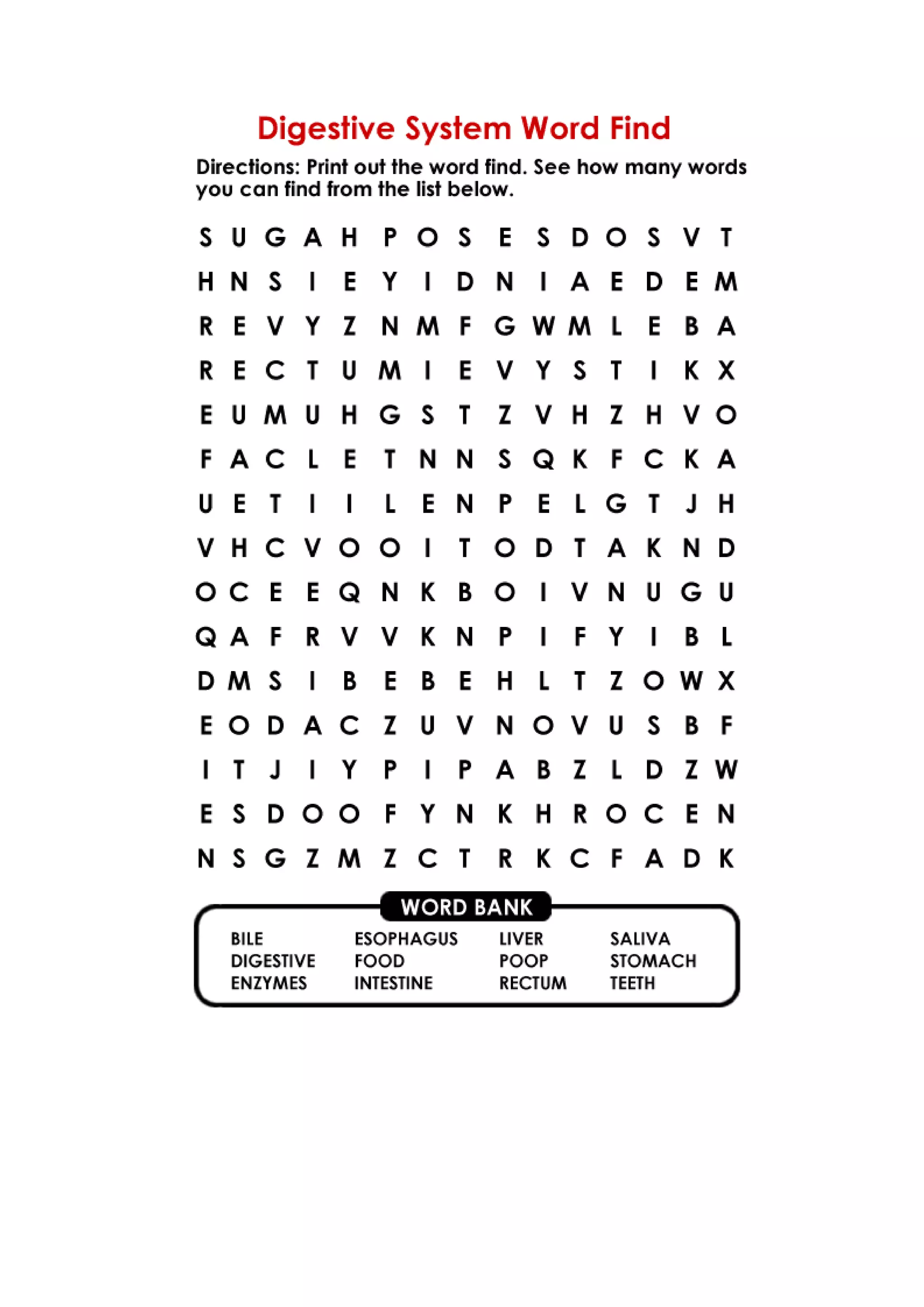Digestive system word find | DOC