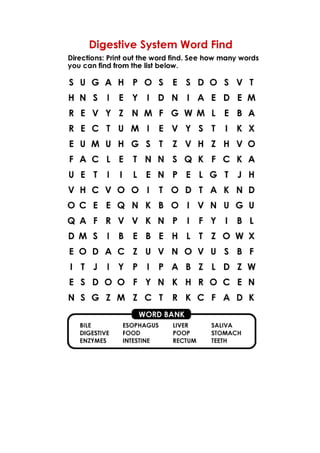 Digestive system word find | DOC