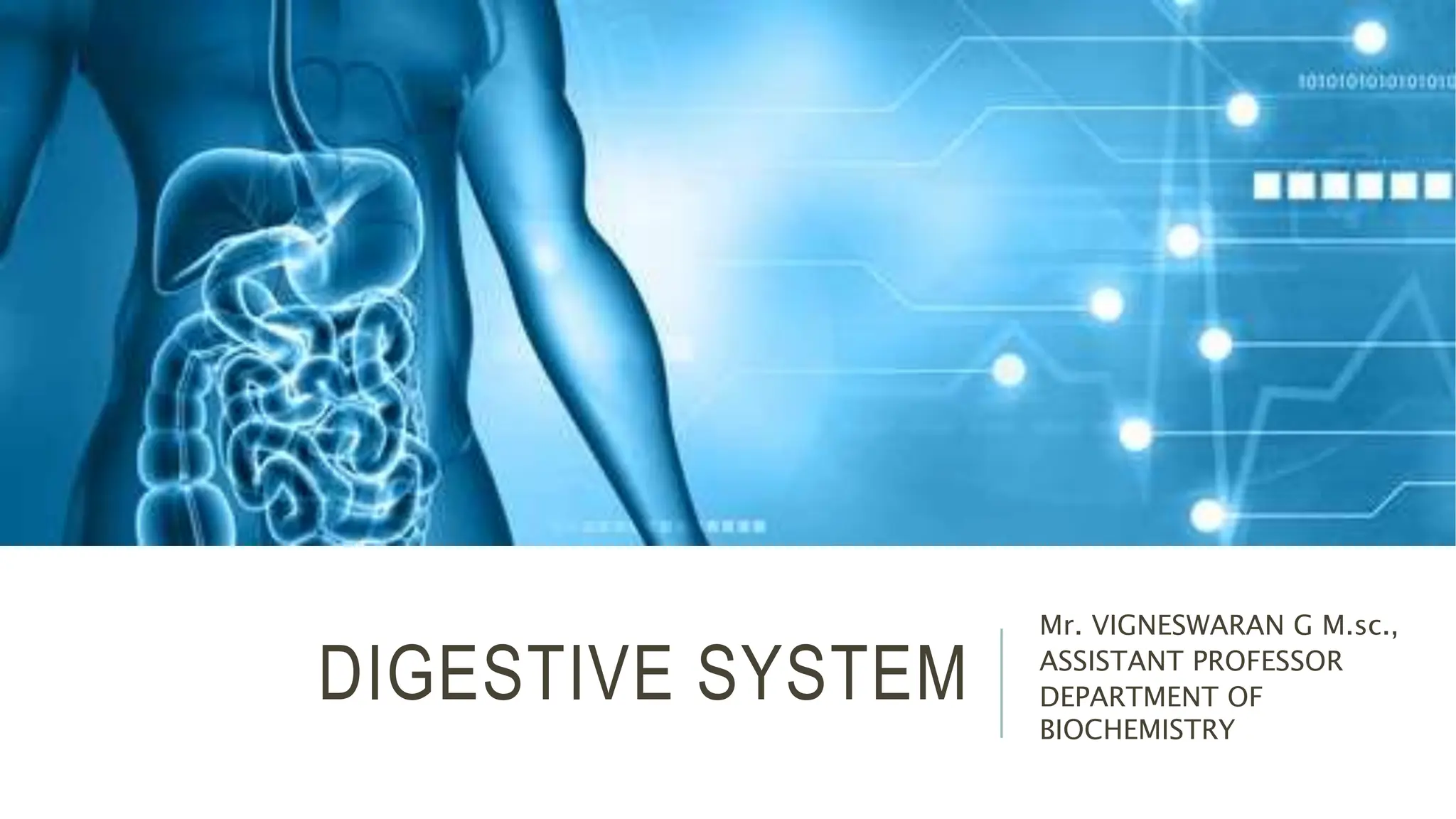 Digestive Systen Introductionpptx Git Physiology Ppt