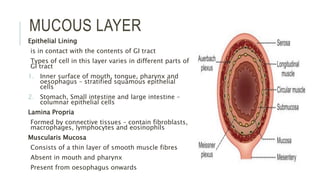 DIGESTIVE SYSTEN INTRODUCTION.pptx GIT PHYSIOLOGY | PPTX