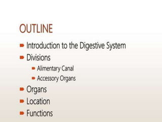 digestive sytem.pdf explain all the accessory organs | PDF