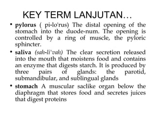 DIGESTIVE TERMINOLOGY ANATOMI FISIOLOGIS PATOLOGIS DIAGNOSIS TREATMENT.pdf