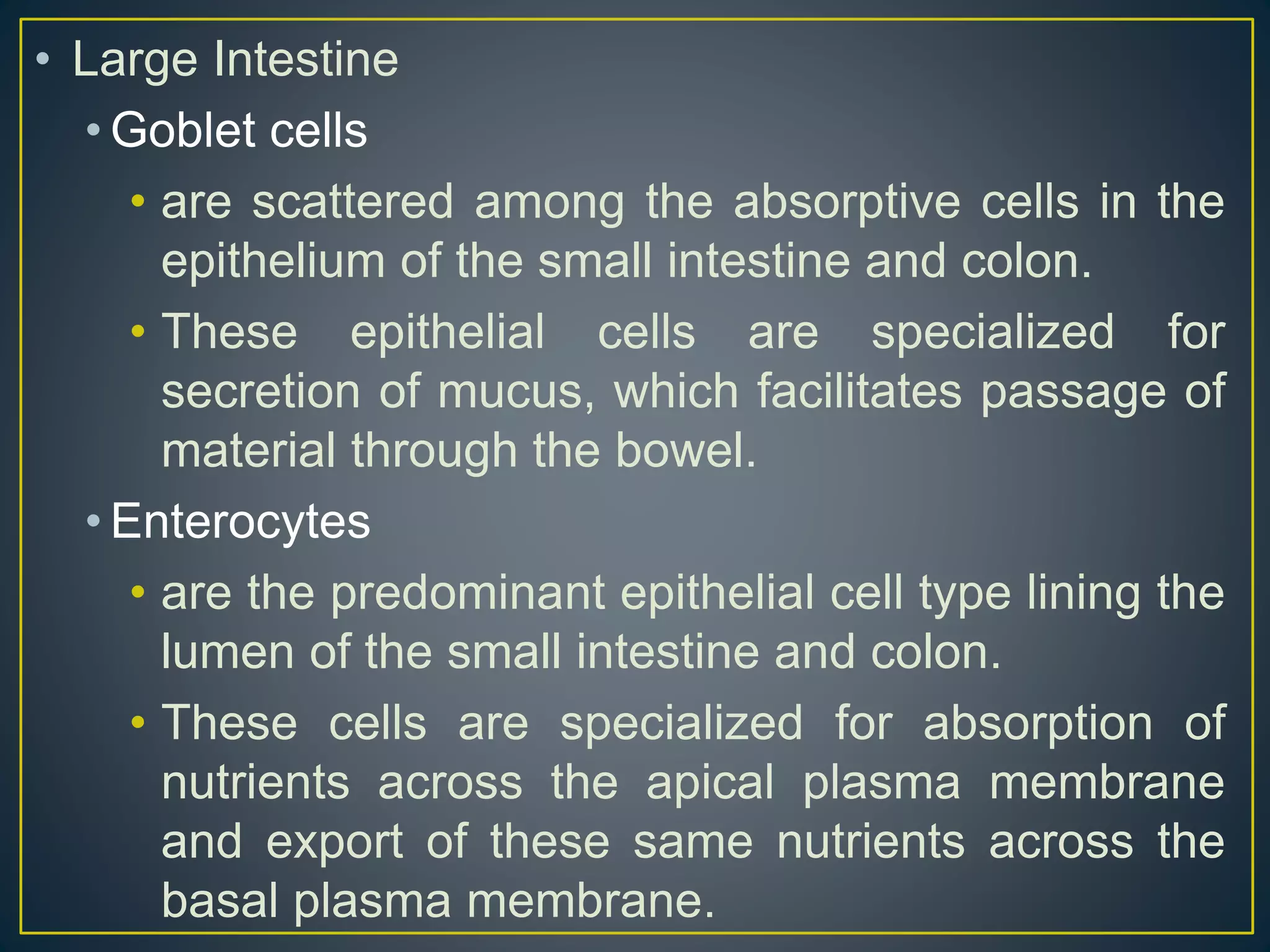 Digestive tract (Histology) | PPTX