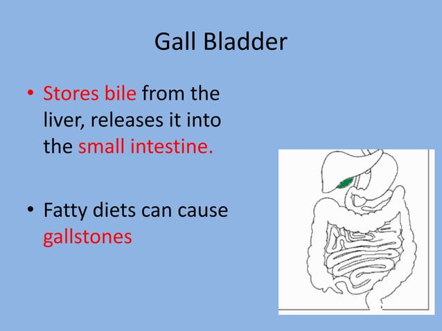 digestive tract -maayer.pptx