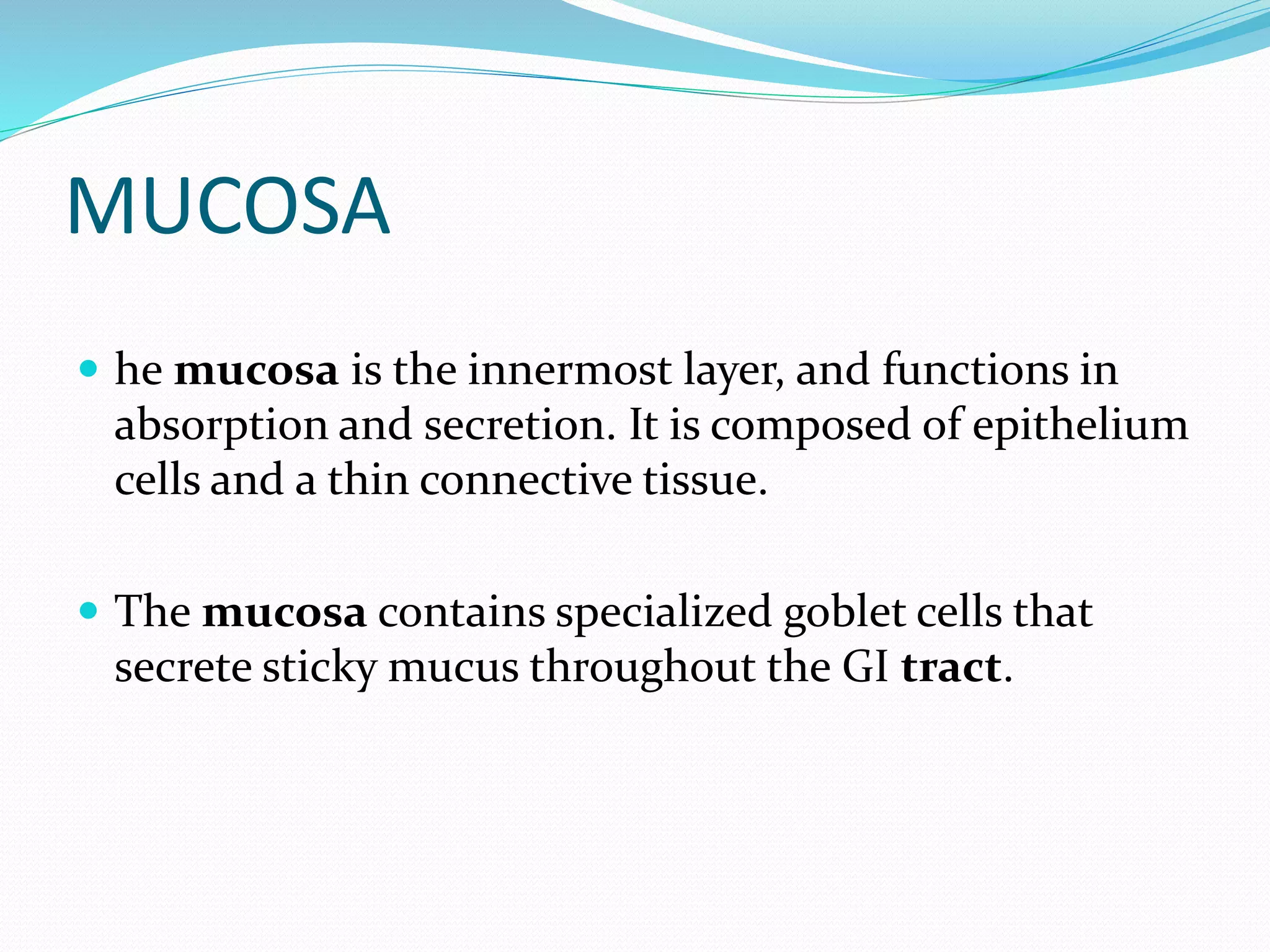 Digestive tract ppt | PPTX