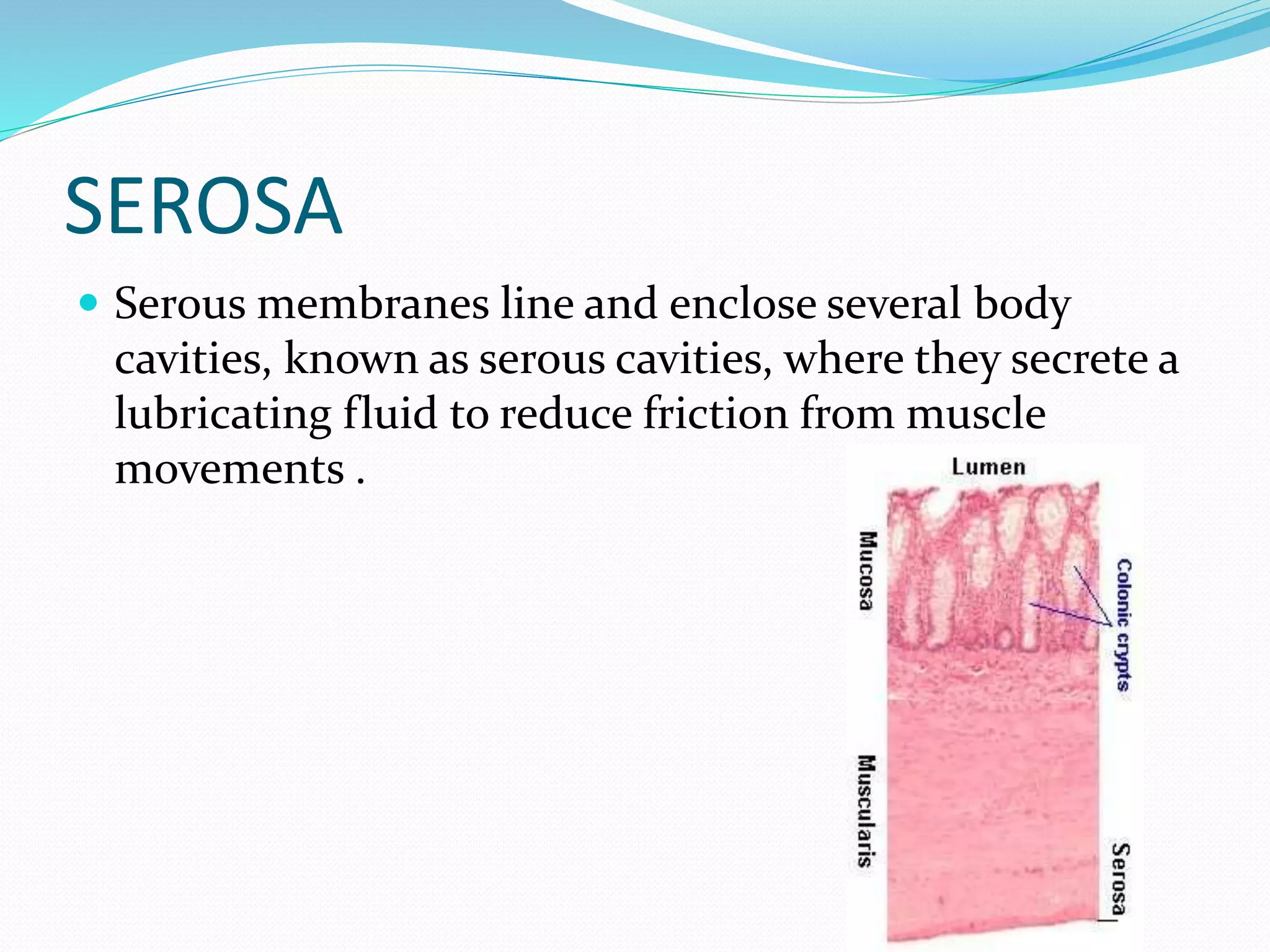 Digestive tract ppt | PPTX