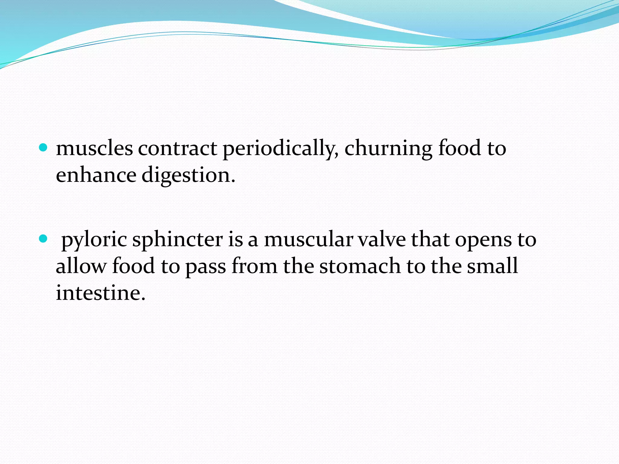 Digestive tract ppt | PPTX