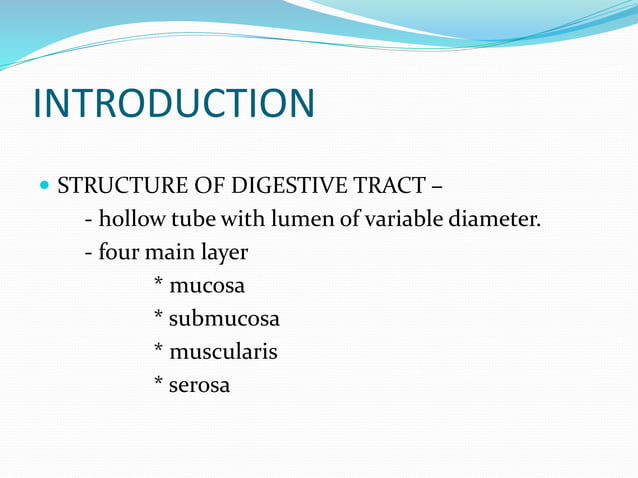 Digestive tract ppt | PPT