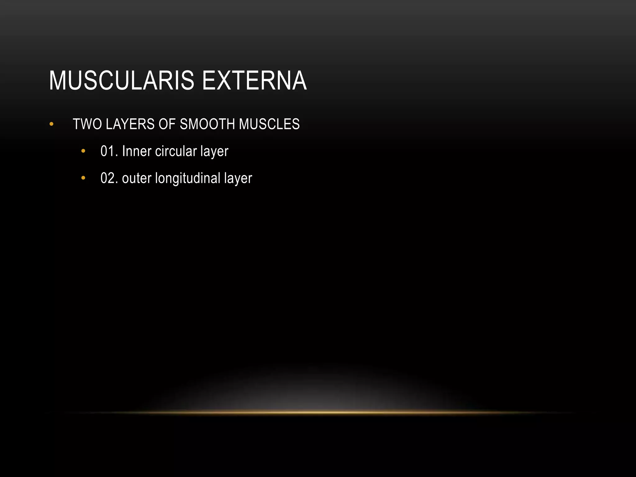 Digestive tract ppt | PPTX