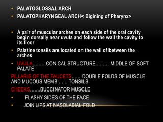 Digestive tract ppt | PPTX