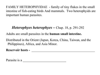 Digestive Trematodes | PPT
