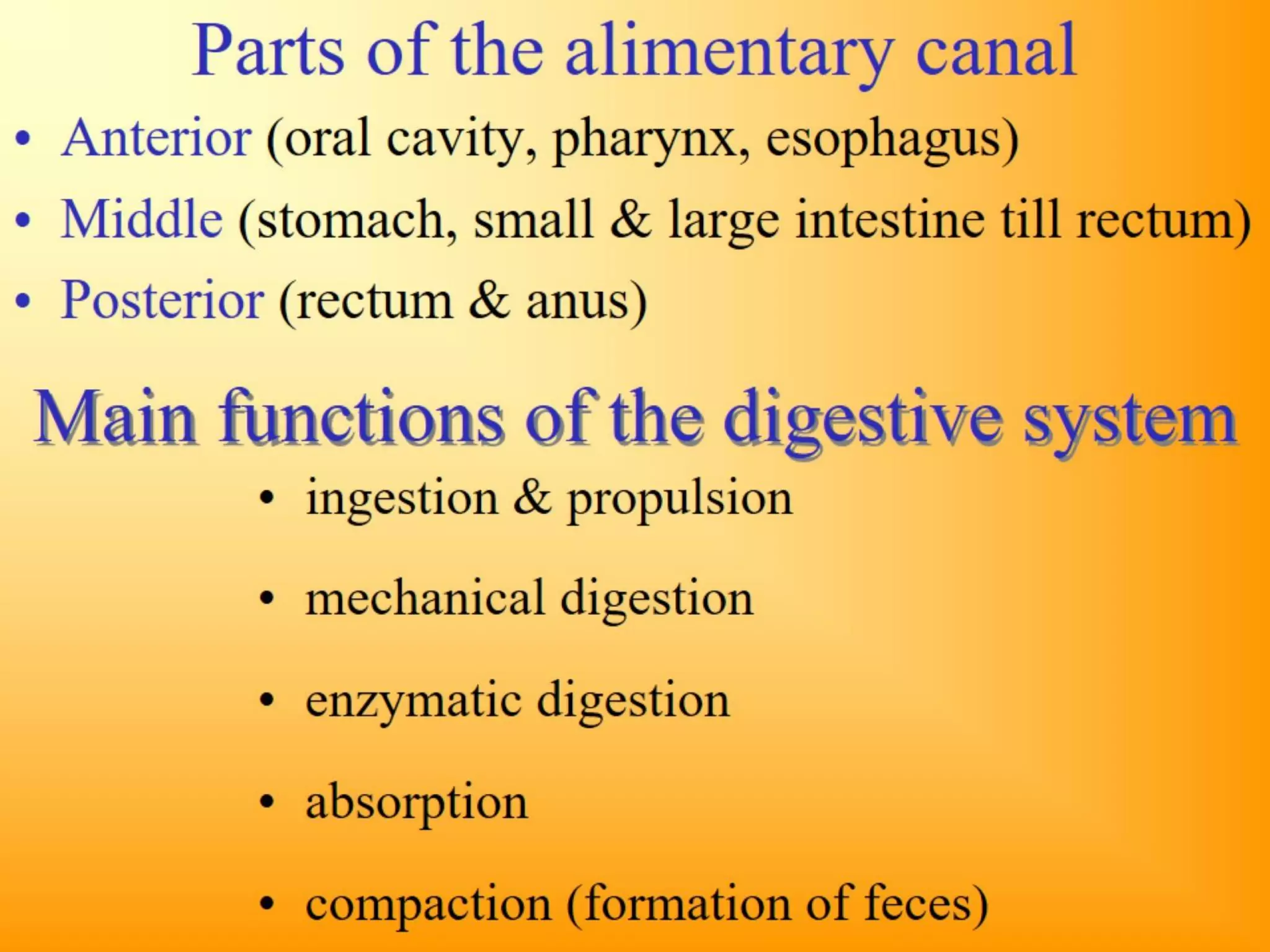 Digestive tube | PDF