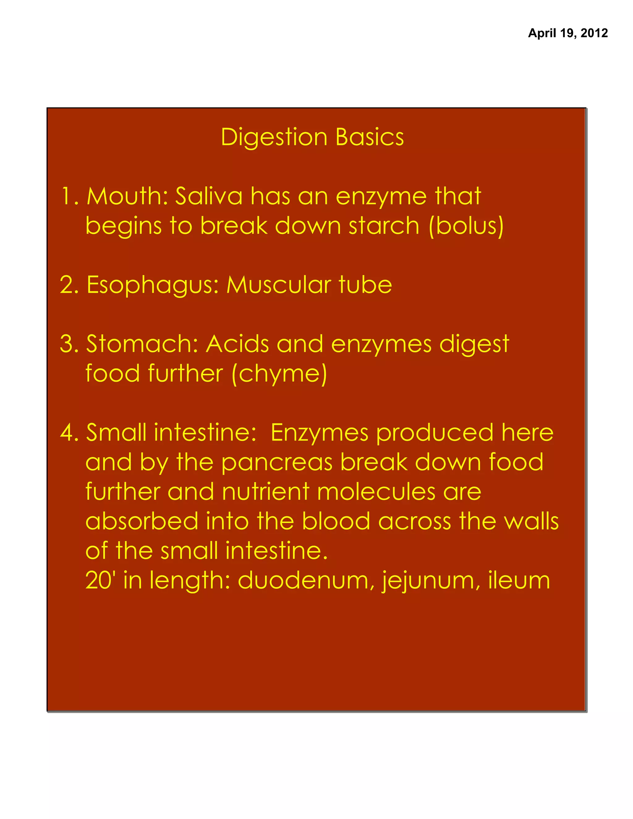 Digestive & urinary systems & nutrition course notes | PDF