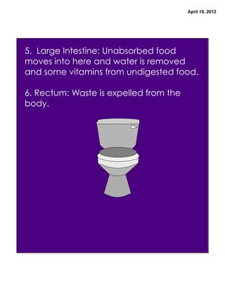 Digestive & urinary systems & nutrition course notes | PDF