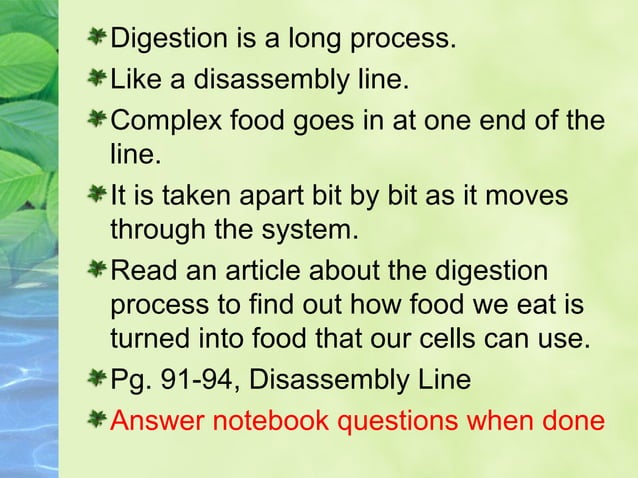 Digestive vocabulary | PPT