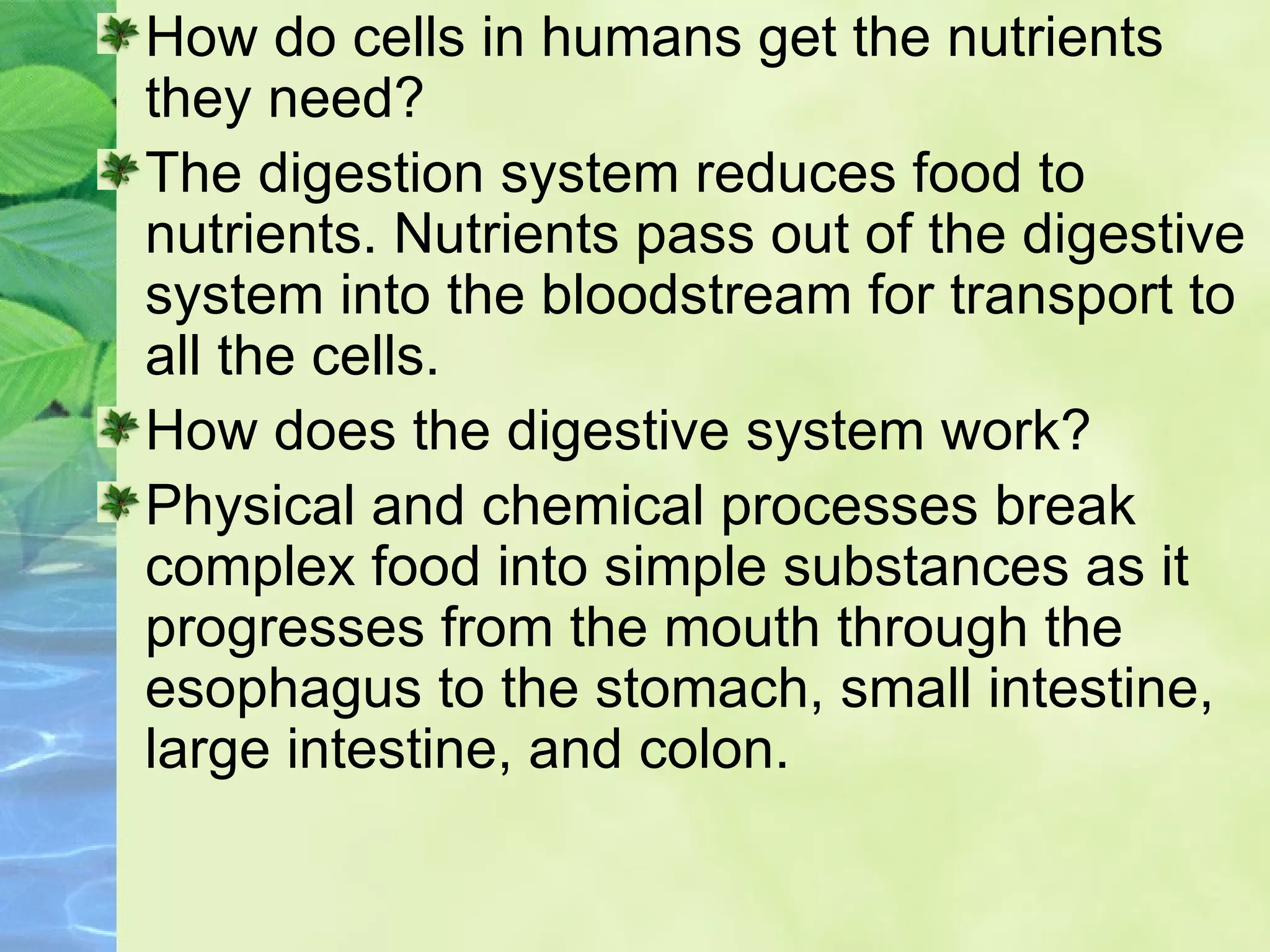 Digestive and Excretory Systems | PPT