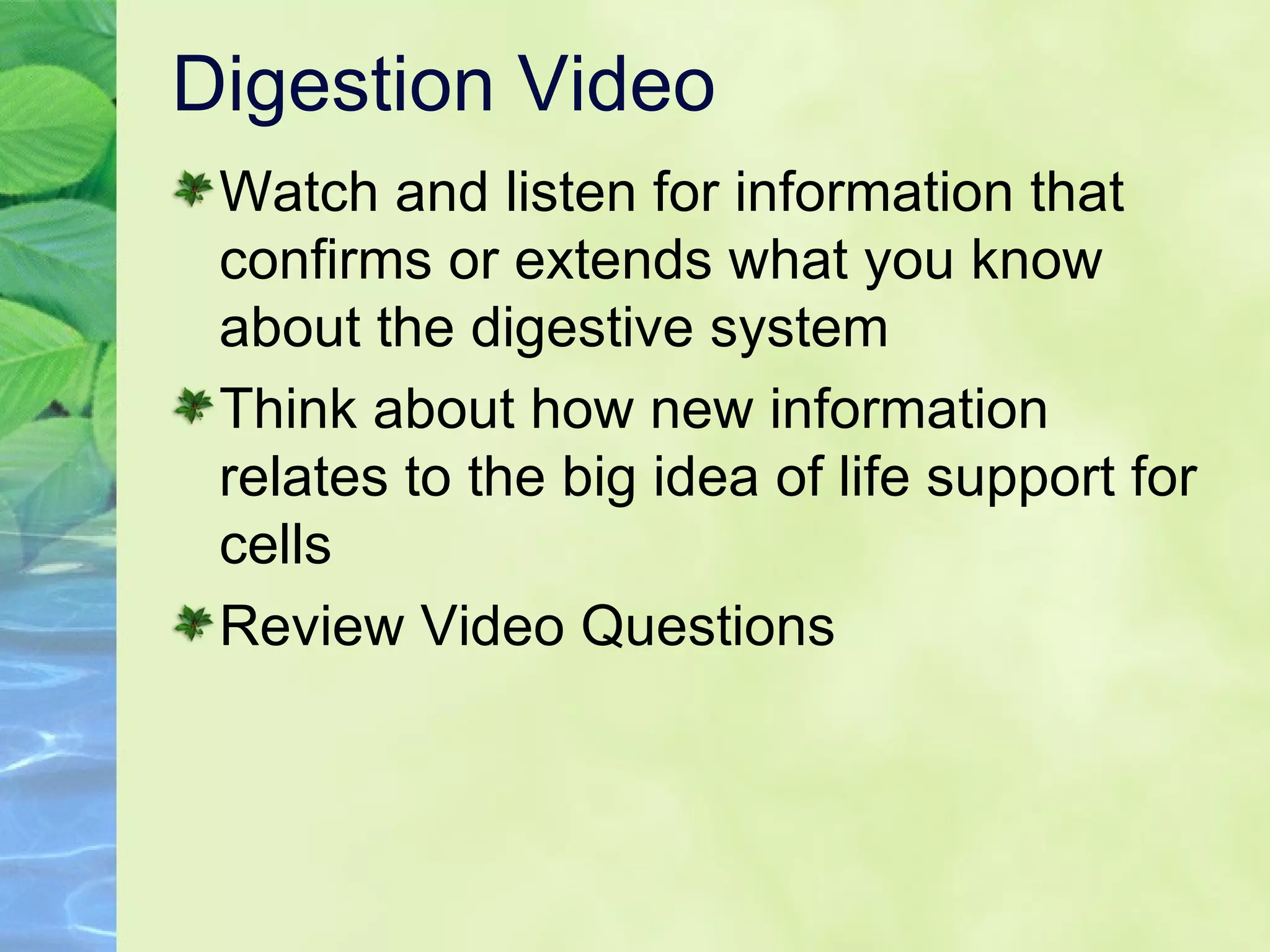 Digestive and Excretory Systems | PPT