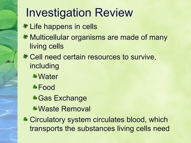 Digestive and Excretory Systems | PPT | Chemistry | Science