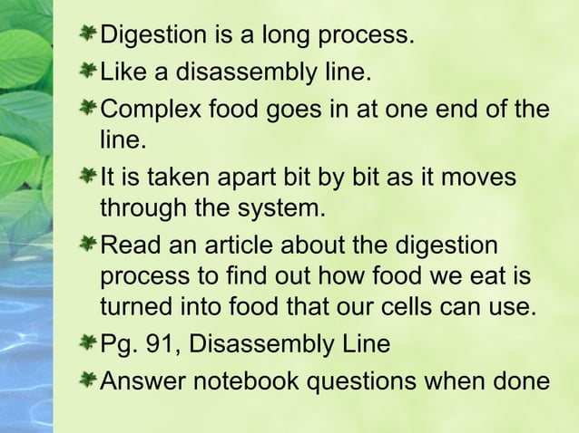 Digestive and Excretory Systems | PPT | Chemistry | Science