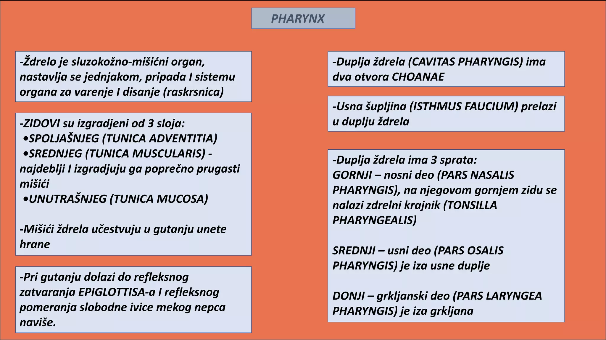 DIGESTIVNI TRAKT | PDF