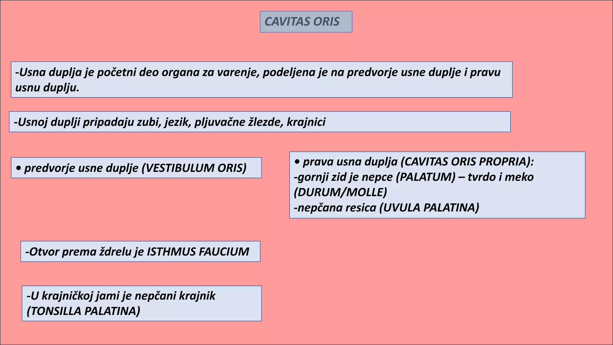 DIGESTIVNI TRAKT | PDF