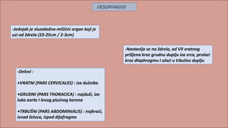DIGESTIVNI TRAKT | PDF