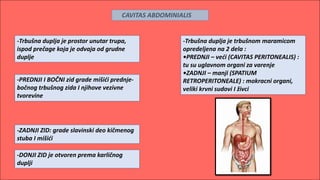 DIGESTIVNI TRAKT | PDF