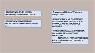 DIGESTIVNI TRAKT | PDF