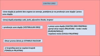 DIGESTIVNI TRAKT | PDF