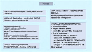 DIGESTIVNI TRAKT | PDF