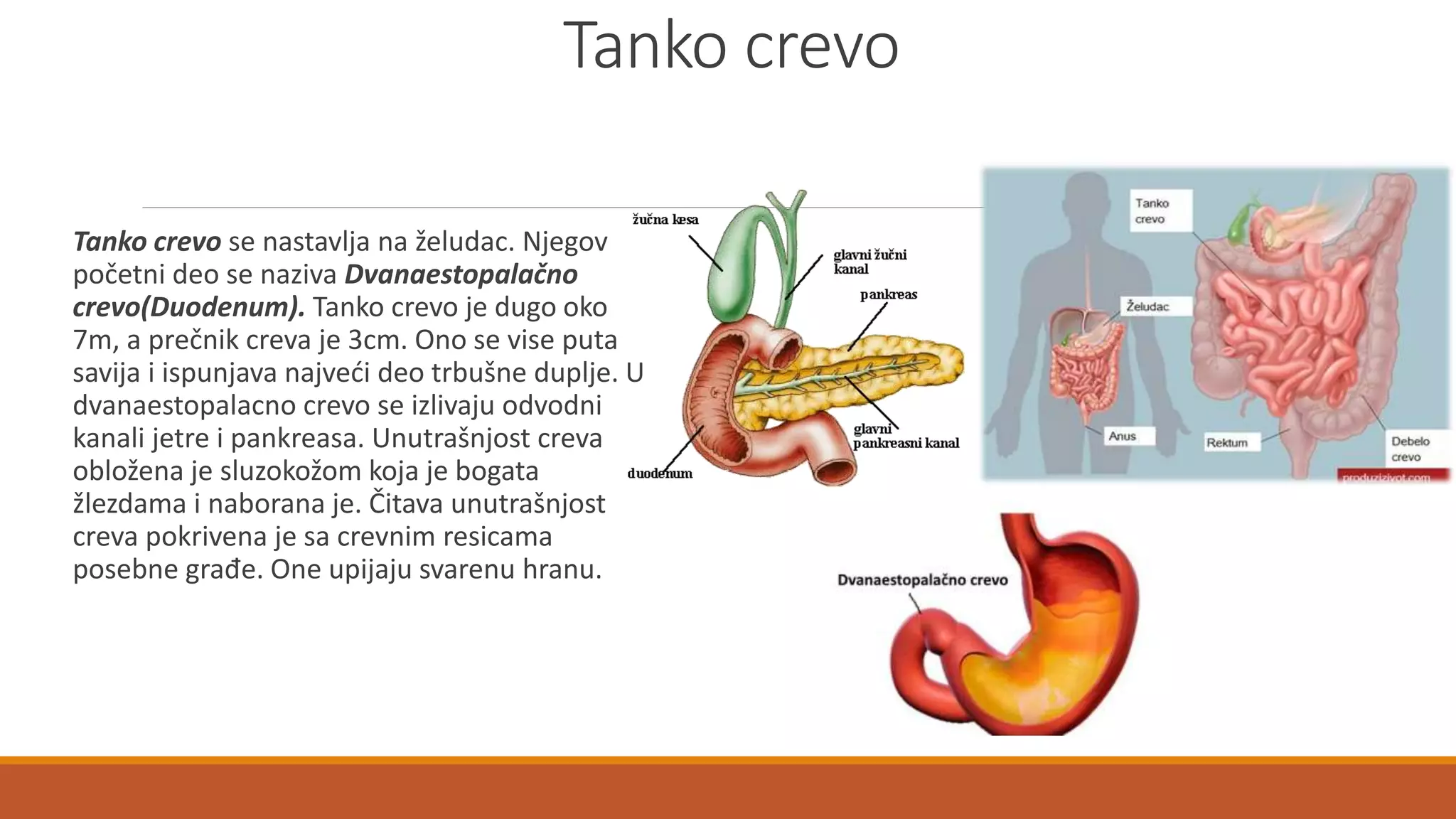 Sistem rogana a varenje VII/1 | PPTX