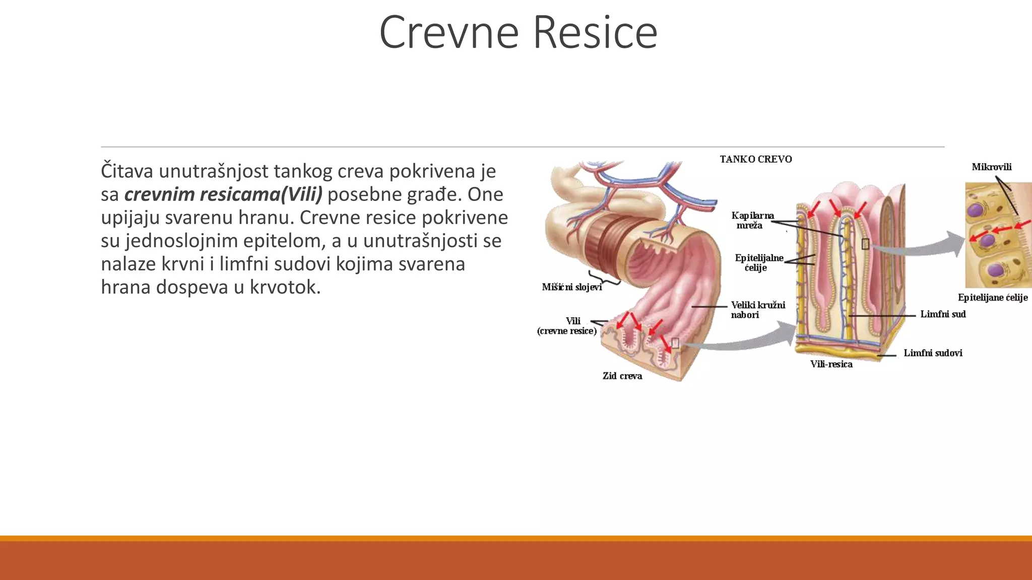 Sistem rogana a varenje VII/1 | PPTX
