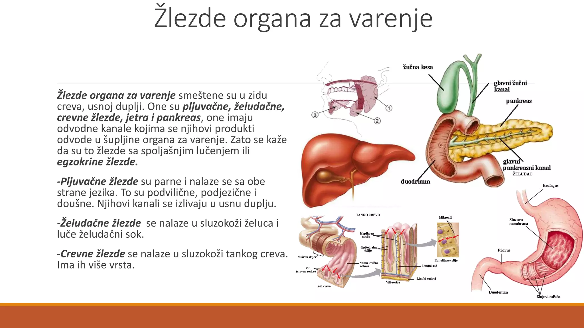 Sistem rogana a varenje VII/1 | PPTX
