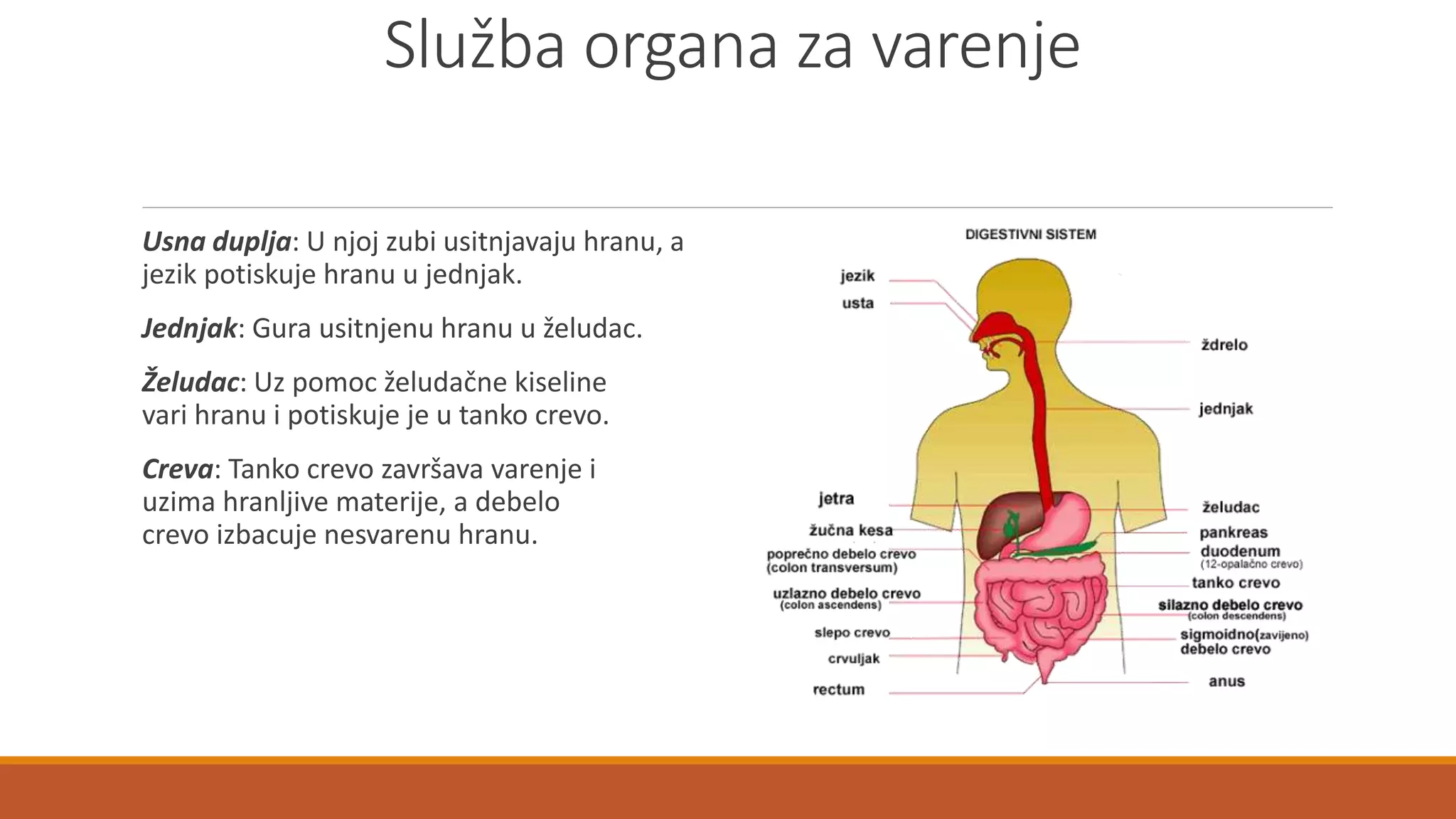 Sistem rogana a varenje VII/1 | PPTX